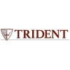 Working at TRIDENT Process Systems | Glassdoor